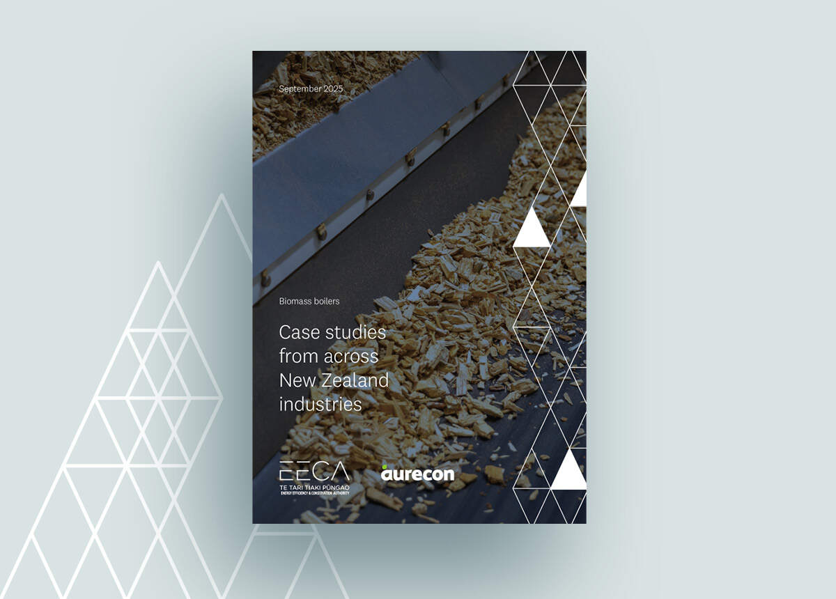 Case studies: biomass boilers for process heat | EECA