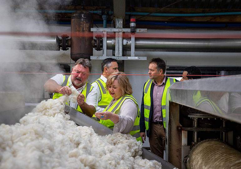 WoolWorks leading the way in the wool industry | EECA
