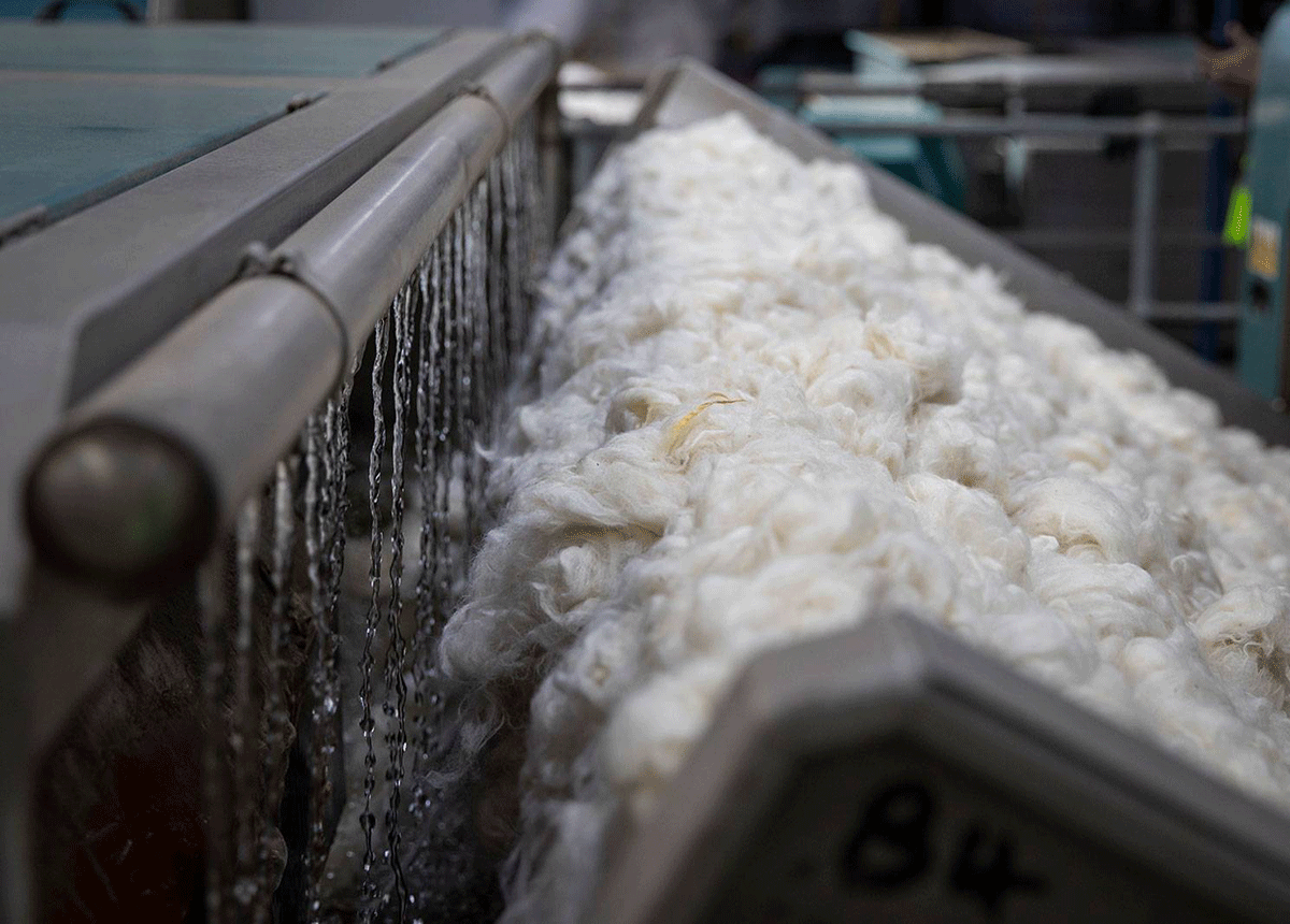 WoolWorks leading the way in the wool industry | EECA