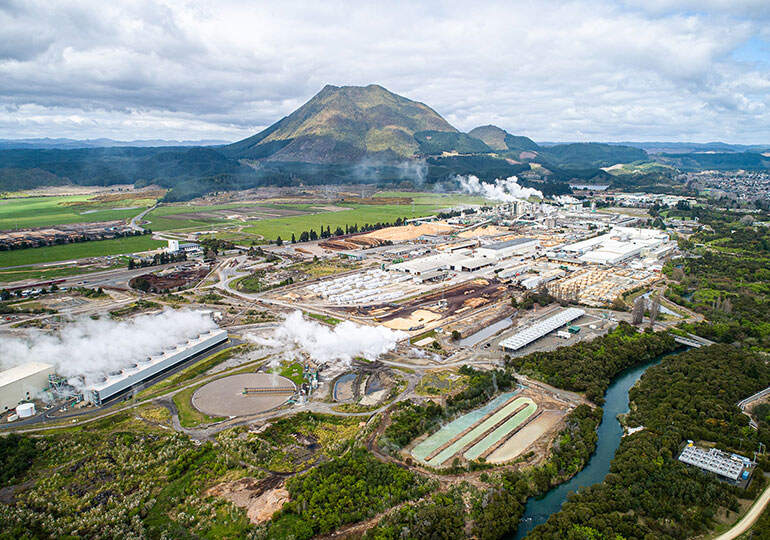 Bay of Plenty RETA | EECA