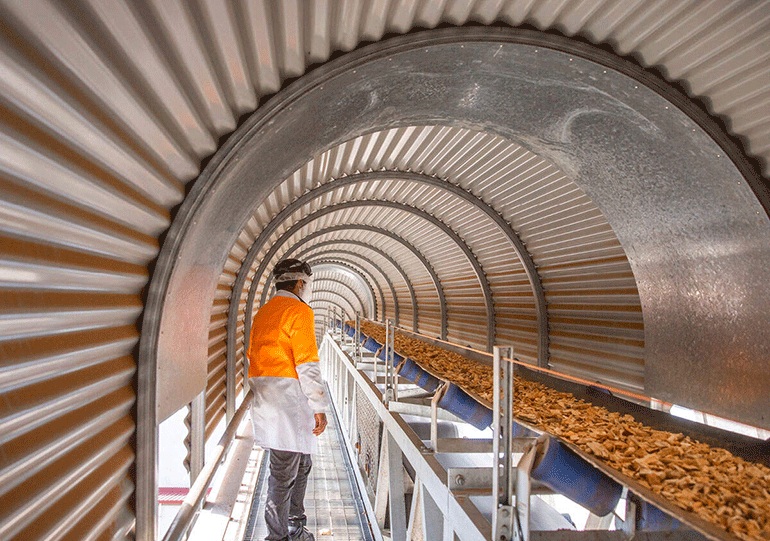 Biomass boilers for industrial process heat | EECA