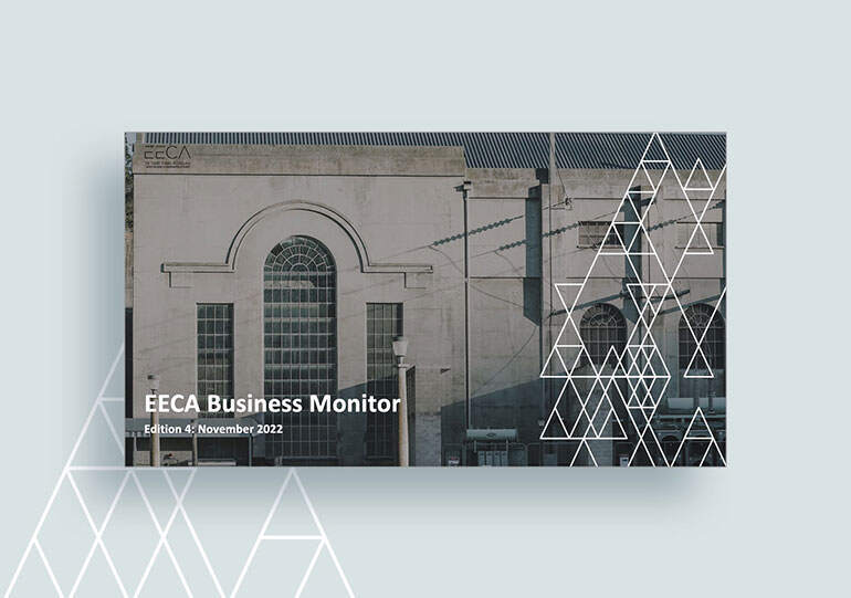 Climate change and NZ business: November 2022 | EECA