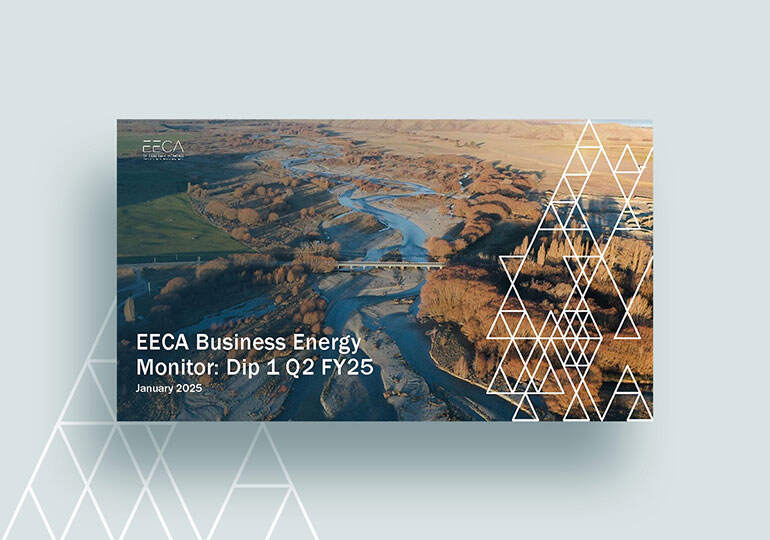 How New Zealand Businesses understand and use energy | EECA